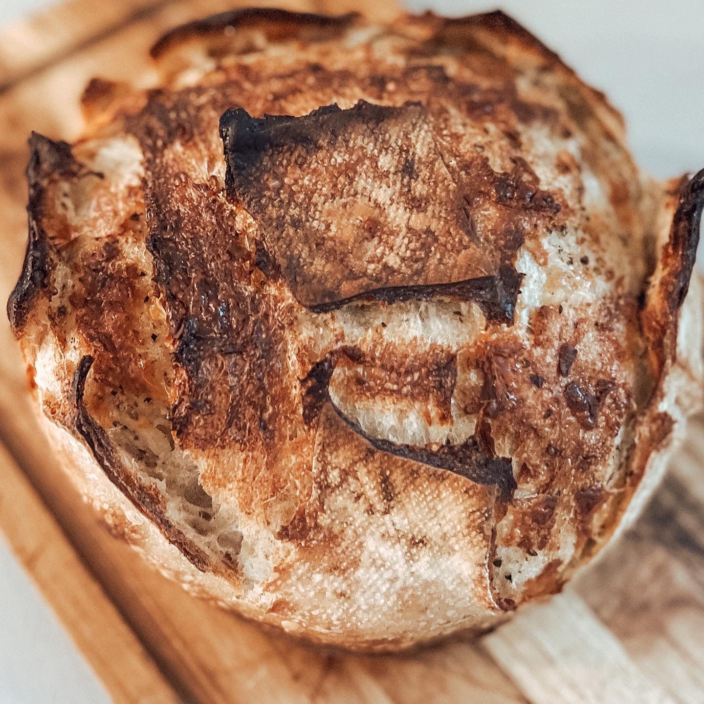Mother Culture Sourdough - Mother Culture Sourdough