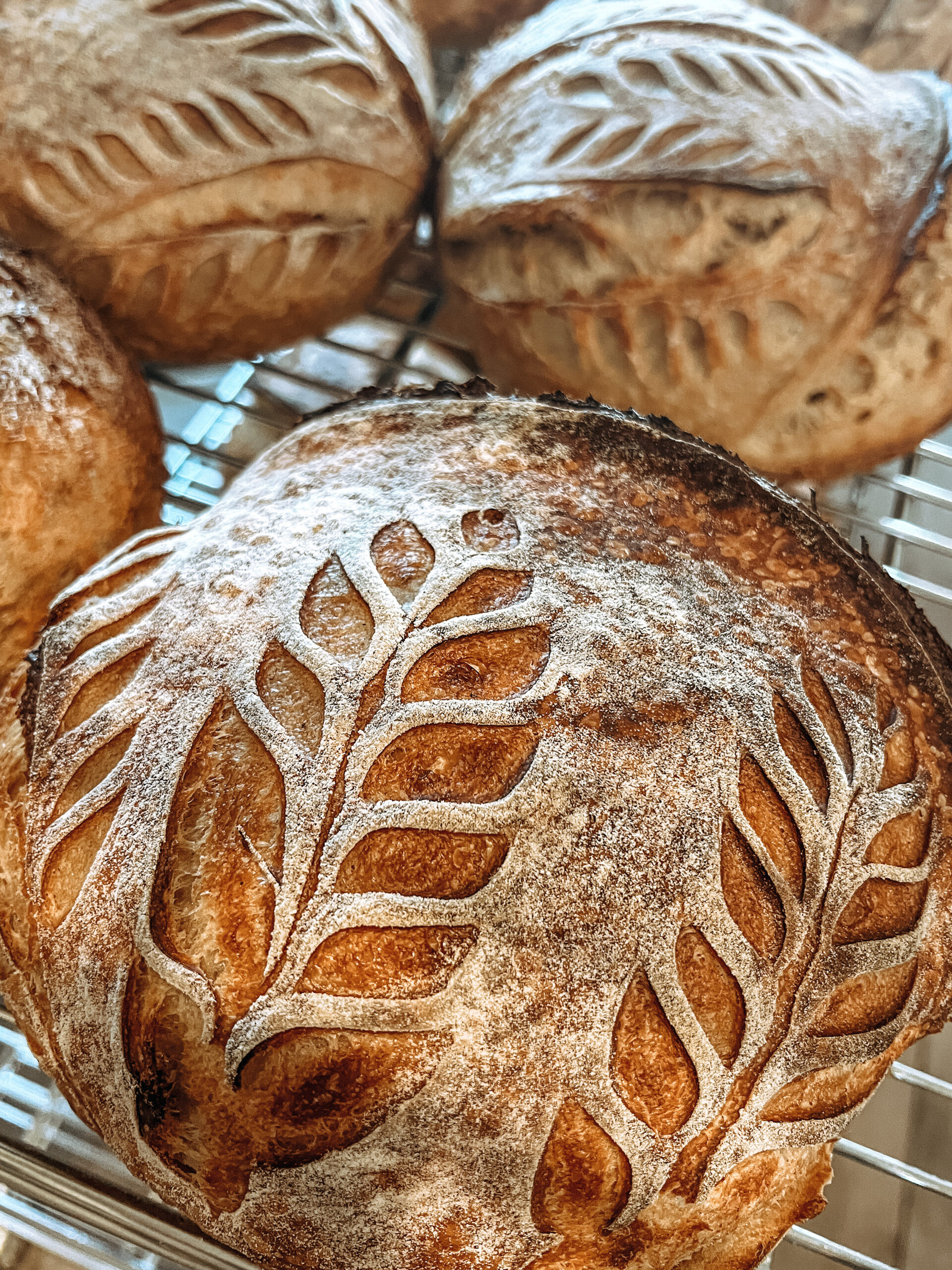 Mother Culture Sourdough - Mother Culture Sourdough